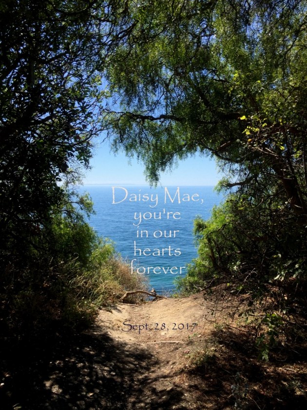 | Rest in Peace, Daisy MaeSueBee Arts