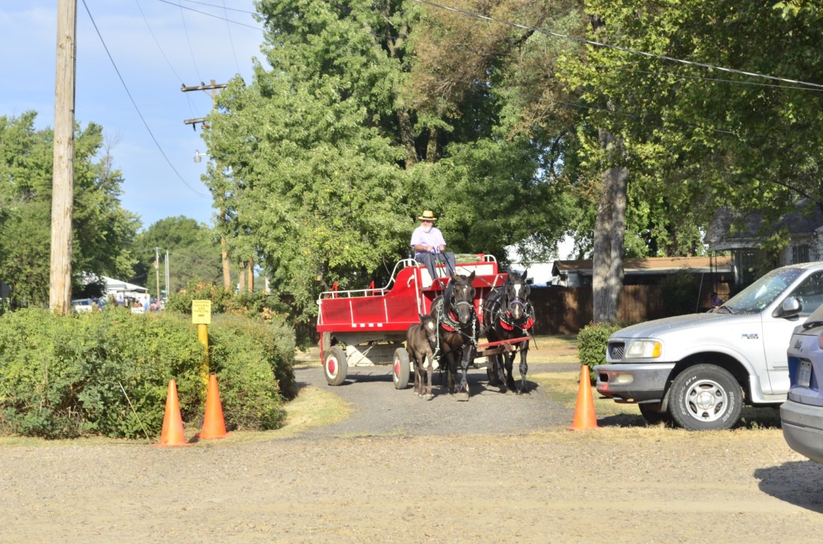 | Yoder Heritage Day, part 1SueBee Arts