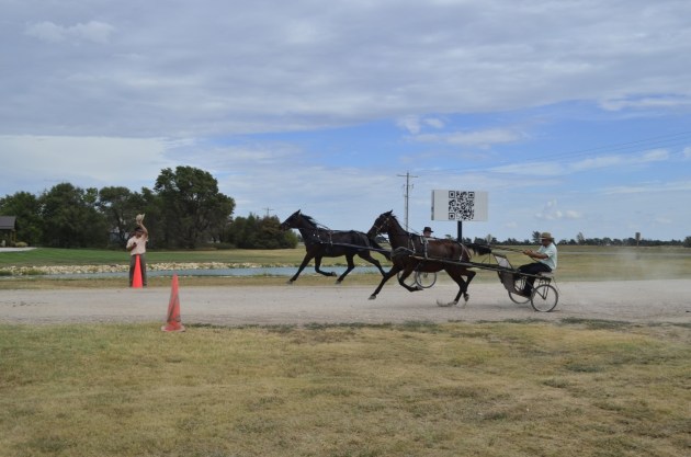 | Yoder Heritage Day, part 3SueBee Arts